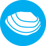 Loaner Module Descriptions | Creek Connections | Allegheny College