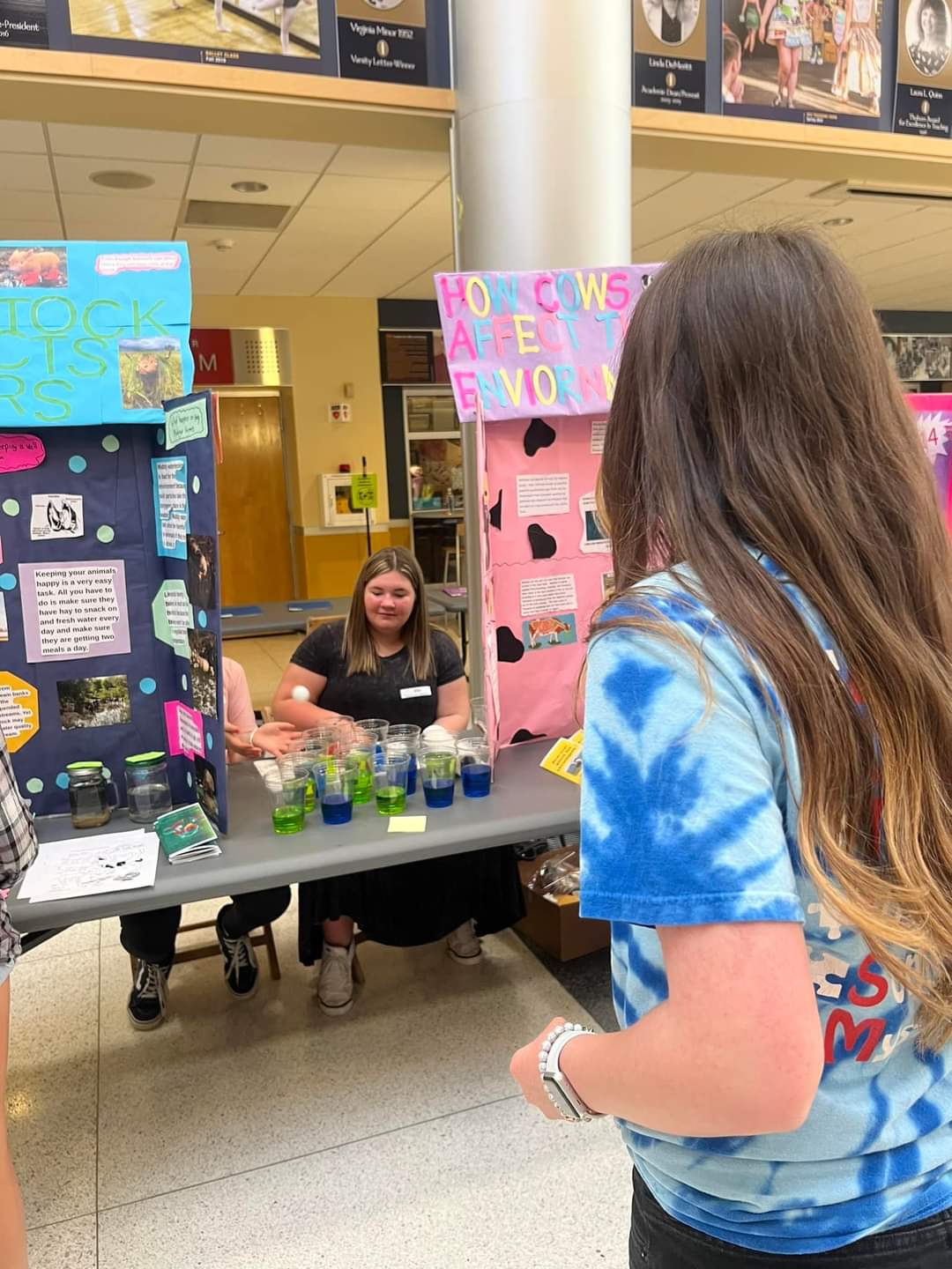 Symposium Display Board Tips | Creek Connections | Allegheny College